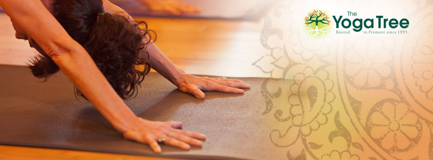 First Friday FREE Yoga - Abbey Arts Presents, Seattle (Fremont Abbey ...