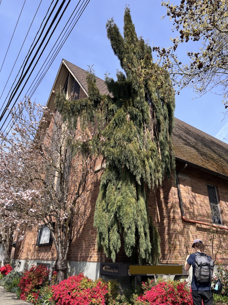 Woodlawn Hall Seattle (Greenlake) - Abbey Arts Presents, Seattle ...